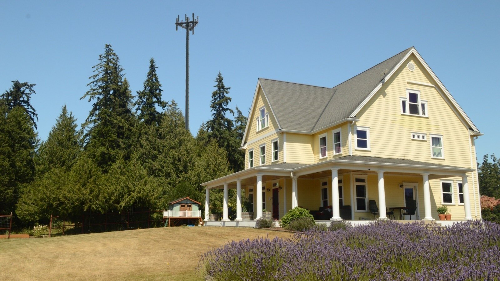 Petition · Halt the Installation of a Cell Phone Tower in Hansville ...