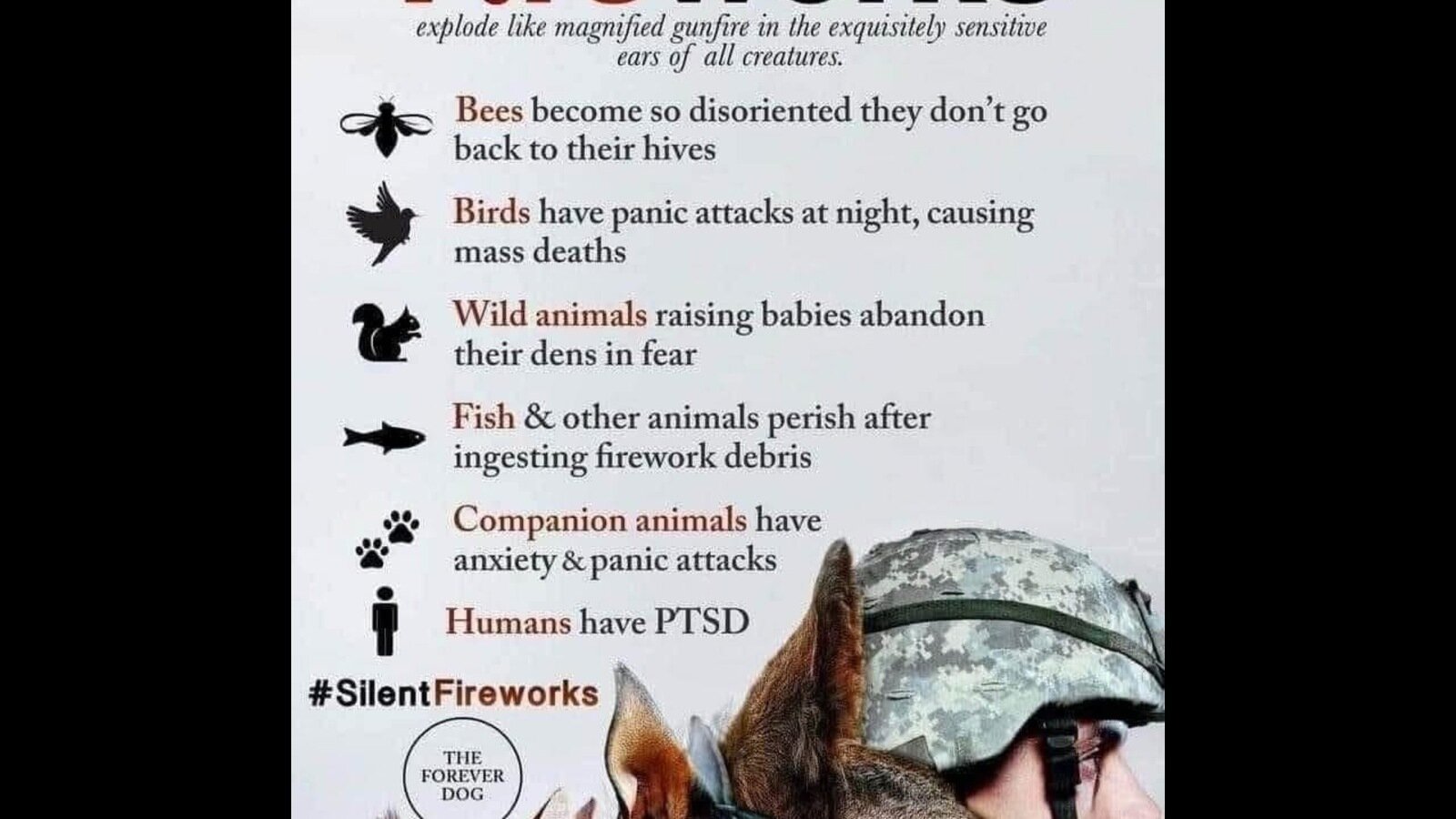 Petition · Mandate silent fireworks to protect animals - United Kingdom ...