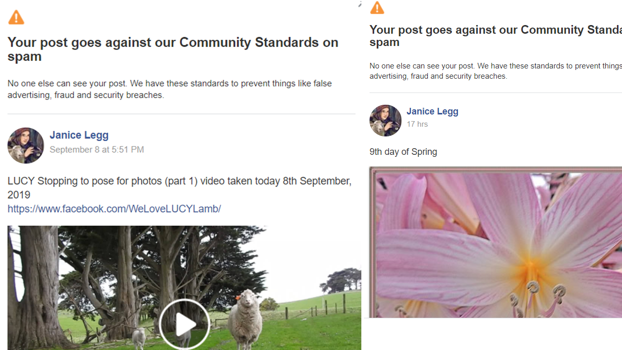 Petition · Get Facebook to stop banning Janice Legg's posts - United ...