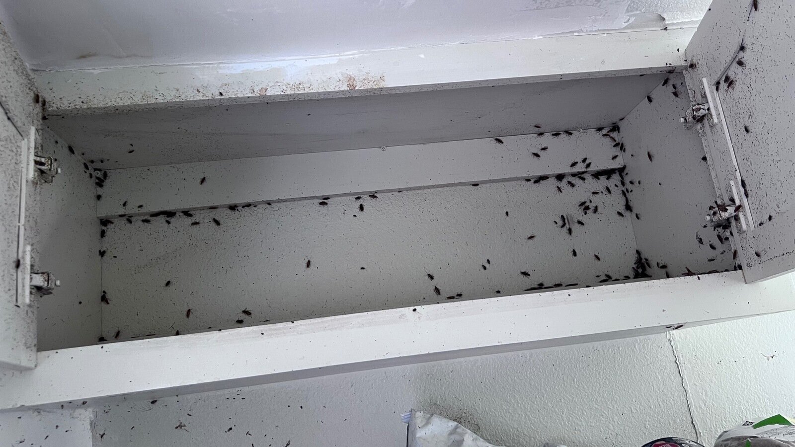 Petition · Compel pro management Apartments to Properly Fumigate for ...