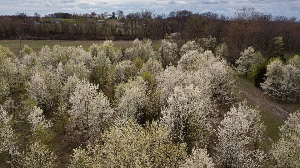 Petition · Demand Ohio State Government to Control the Spread of ...