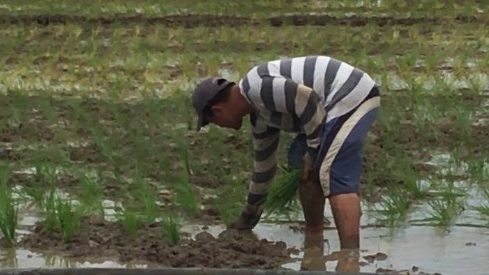 Petition · Fight the plight of Filipino farmers. - Philippines · Change.org