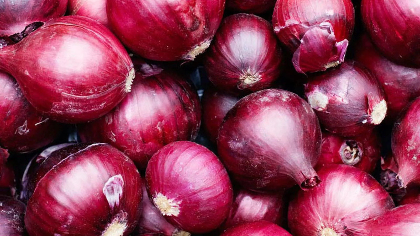 Petition · SIBUYAS MO, MAHAL KO · Change.org