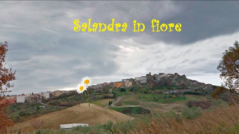 Petizione · Comune di Salandra: Blocchiamo l'eolico selvaggio · Change.org