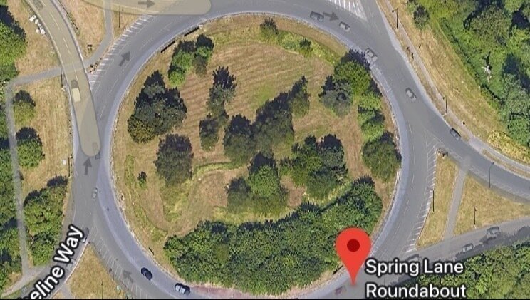 Petition · Establish Safer Pedestrian Crossing at Spring Lane ...