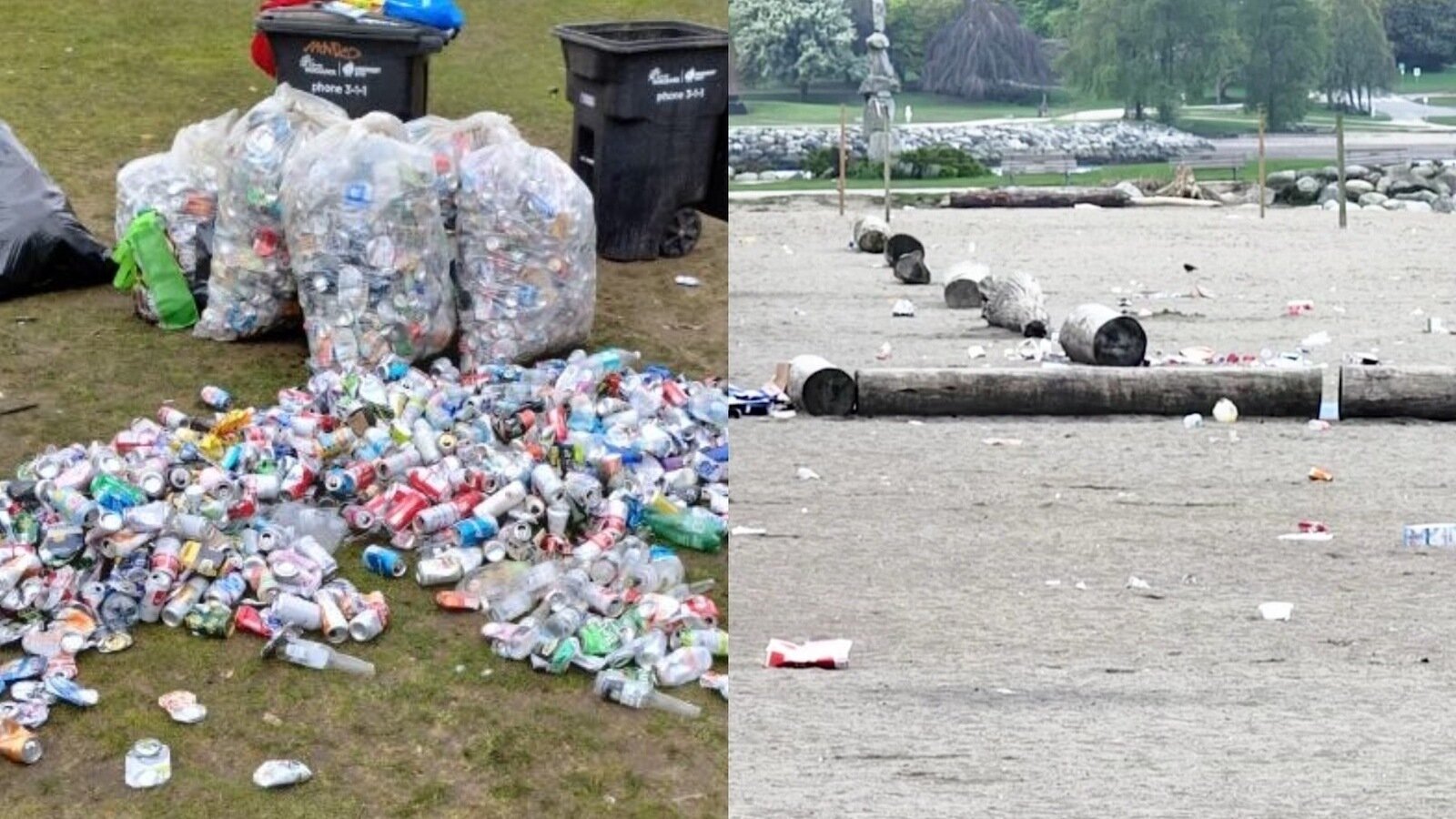 Petition · Ban Single-Use Plastics at Vancouver Festivals and Public ...