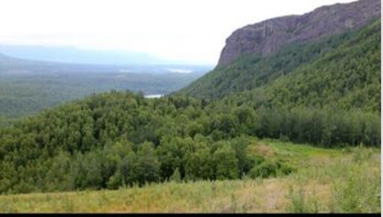 Petition · Halt Antlerless Moose Hunting Draw Tags DM407 - United ...