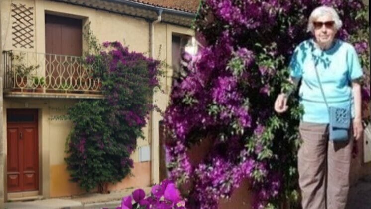 Pétition · Jojo doit retrouver sa maison le plus vite possible ...