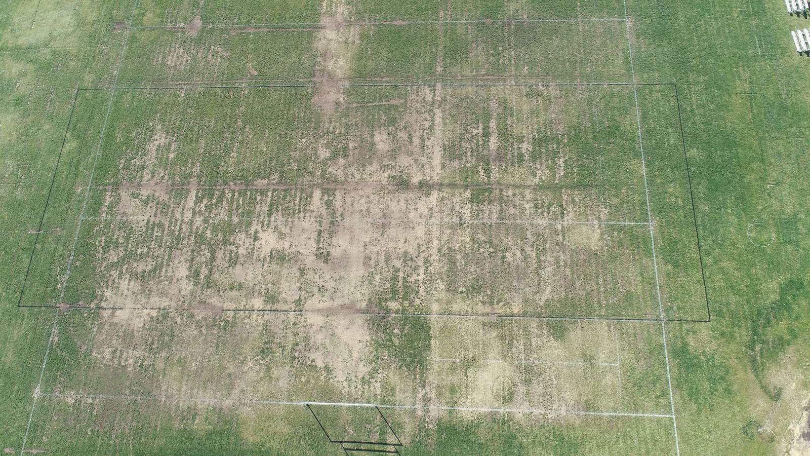 Petition · Make Mick Sherd Oval Great Again - Australia · Change.org