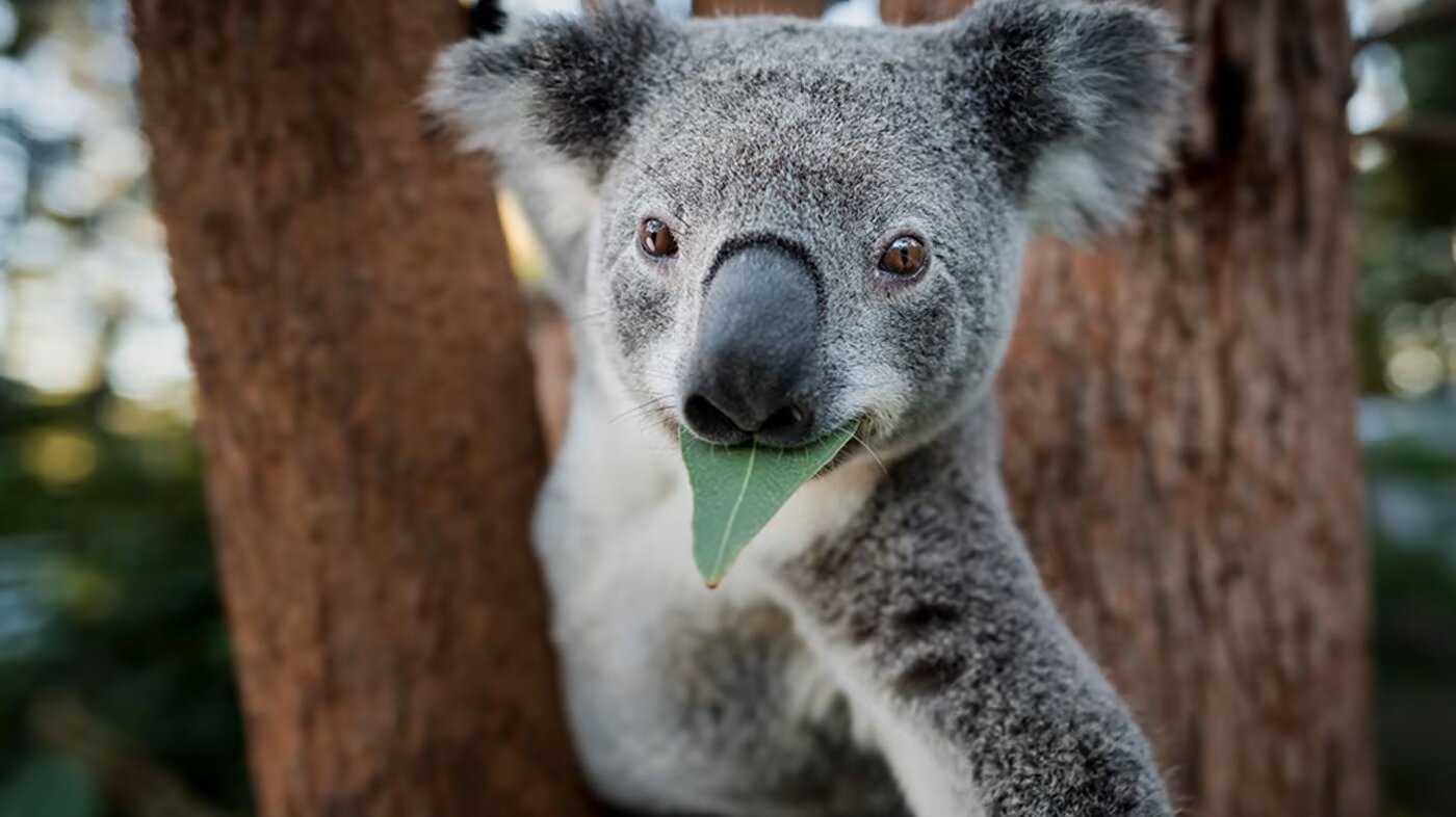 Petition update · Thank you SO MUCH for signing my petition!! Supporter ...