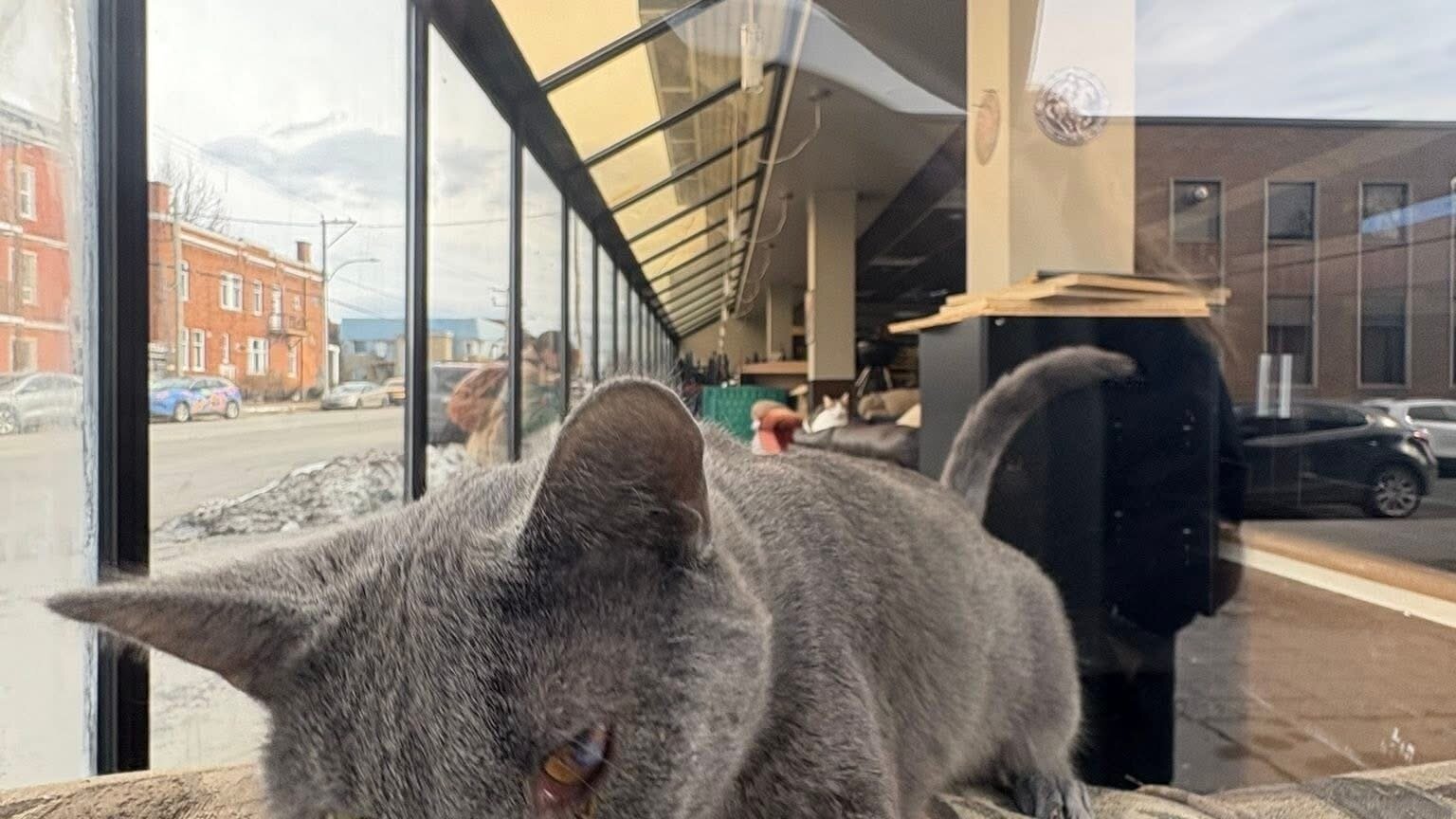 Petition update · On doit se mobiliser parce que la spa e MAPAQ ne font ...