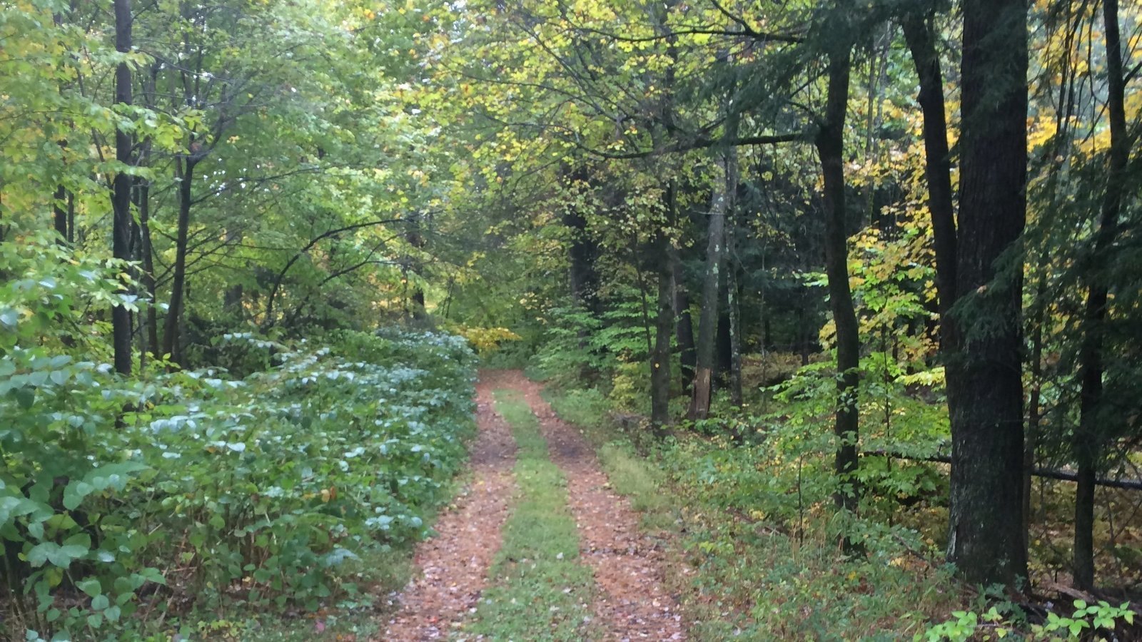 Petition · Historic Vanderkamp's Future Reimagined: Kept Open to the ...