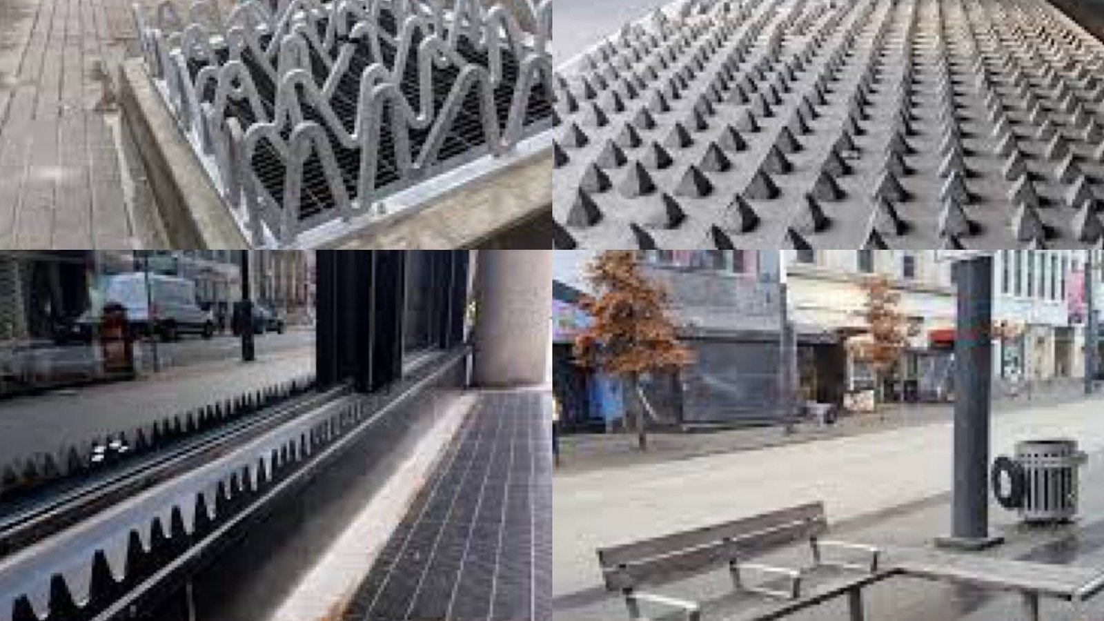 Petition · Make Toronto's Public Space Inclusive To All - Toronto ...