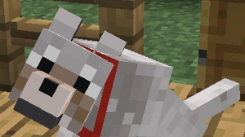 Petition · Add dog armor in Minecraft - United States · Change.org