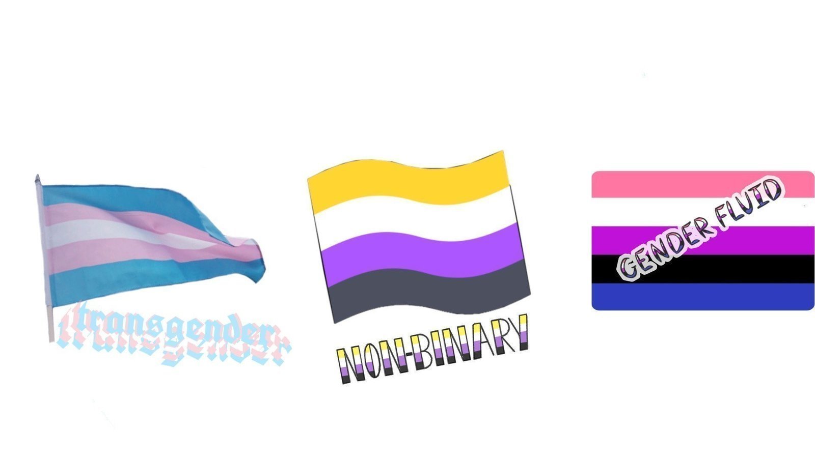 Petition · Not letting the government pass a bill for taking trans/ non ...