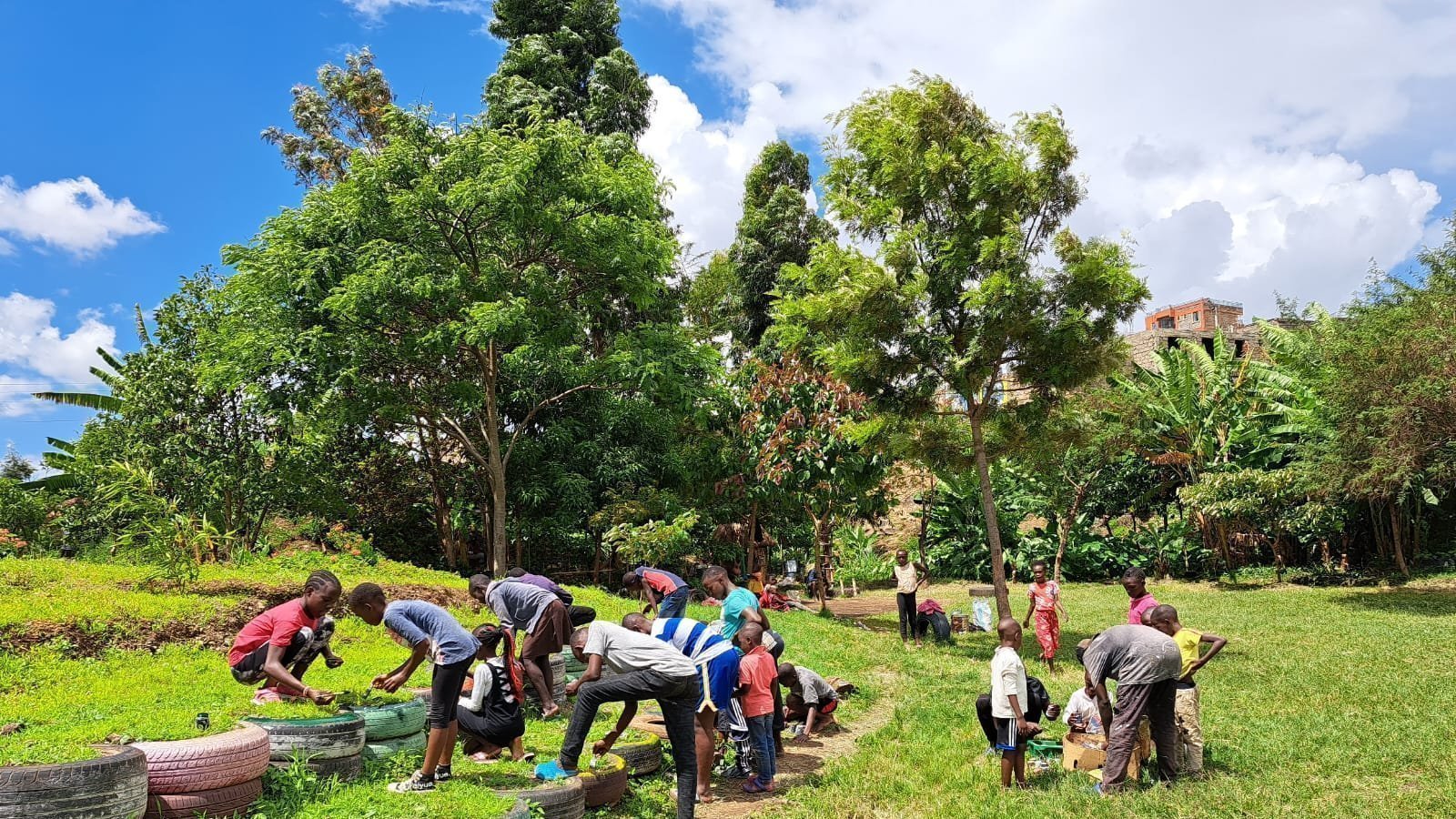 Petition · Declare Nairobi and Mathare River Community Parks as ...