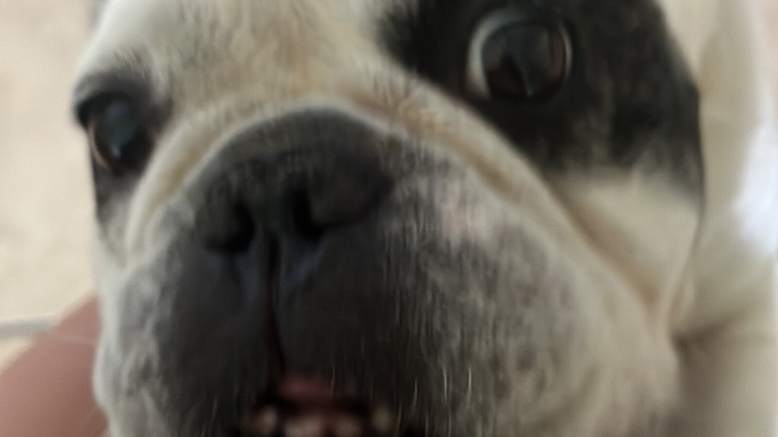 Petition · Ban "W Rizz" - United States · Change.org