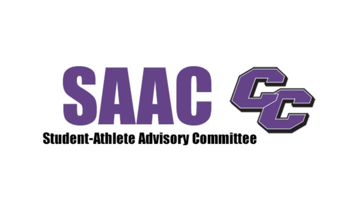 Petition · SAAC Consent Day Pledge - United States · Change.org