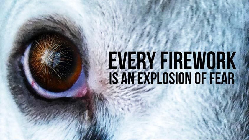 Petition · Bring and end to noisy fireworks - United Kingdom · Change.org
