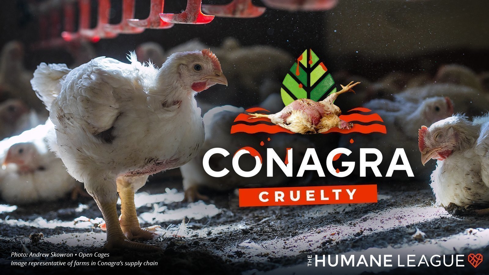 Petition · Conagra — It’s time to do better for chickens - United ...