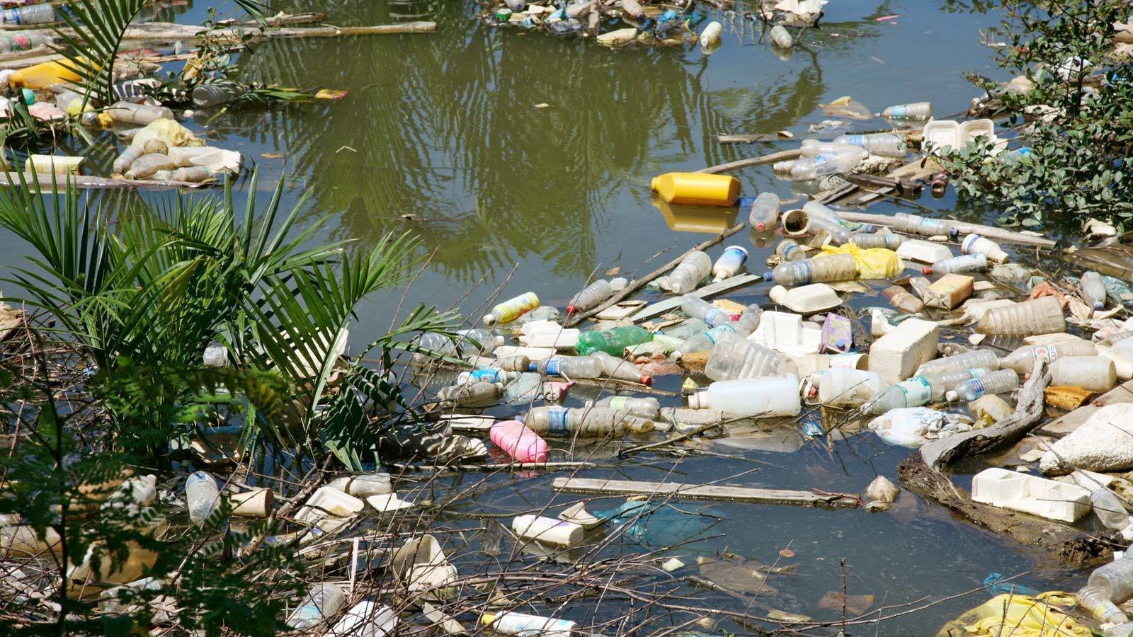 Petition · Plastic Pollution: Replace disposable with decomposable ...