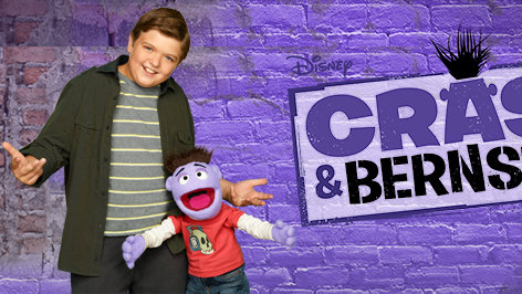 Petition · We need more Crash & Bernstein! - United States · Change.org