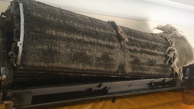 Petition · Mandate Regular Mould and Cleanliness Inspections for Rental ...