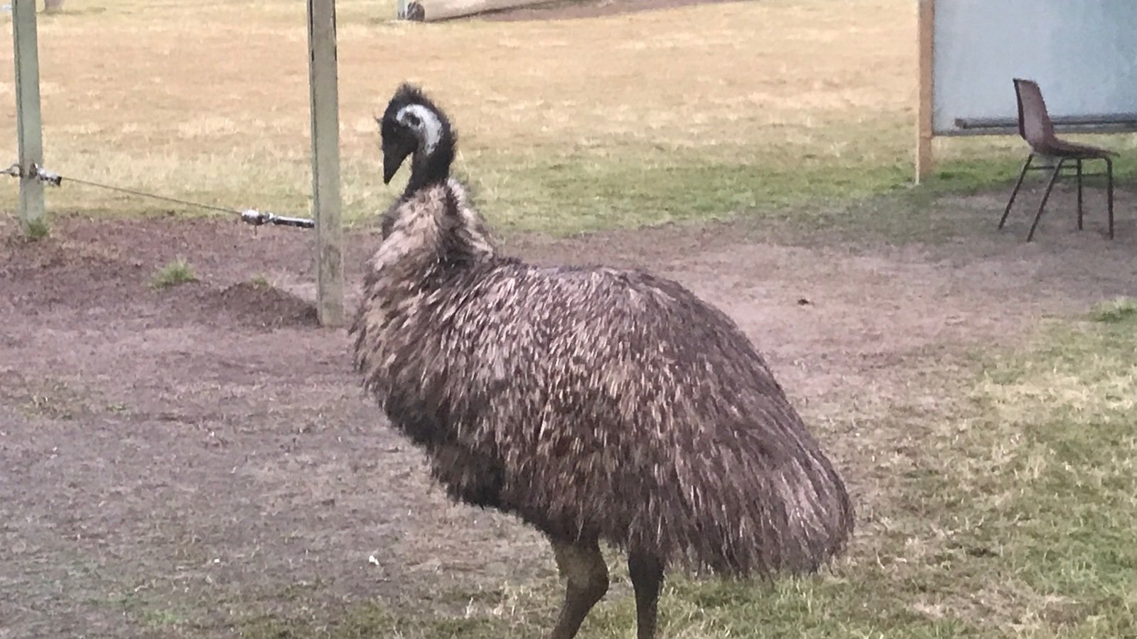 Petition · Emu Gully again - Australia · Change.org