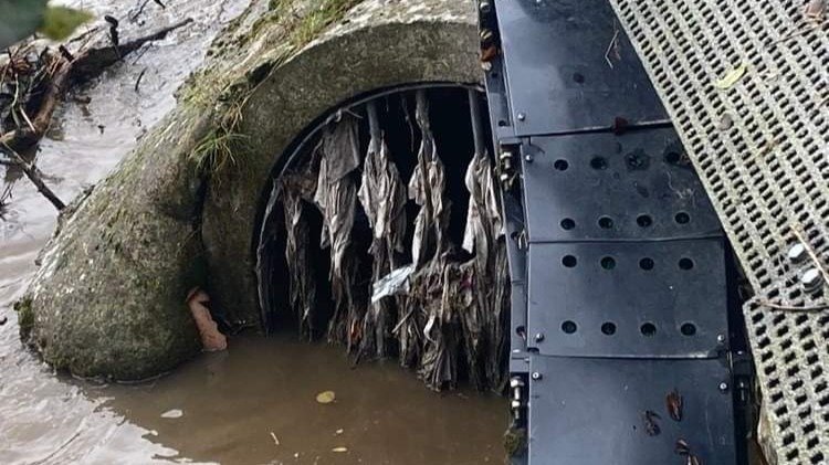 Petition · SAVE OUR RIVERS - United Kingdom · Change.org