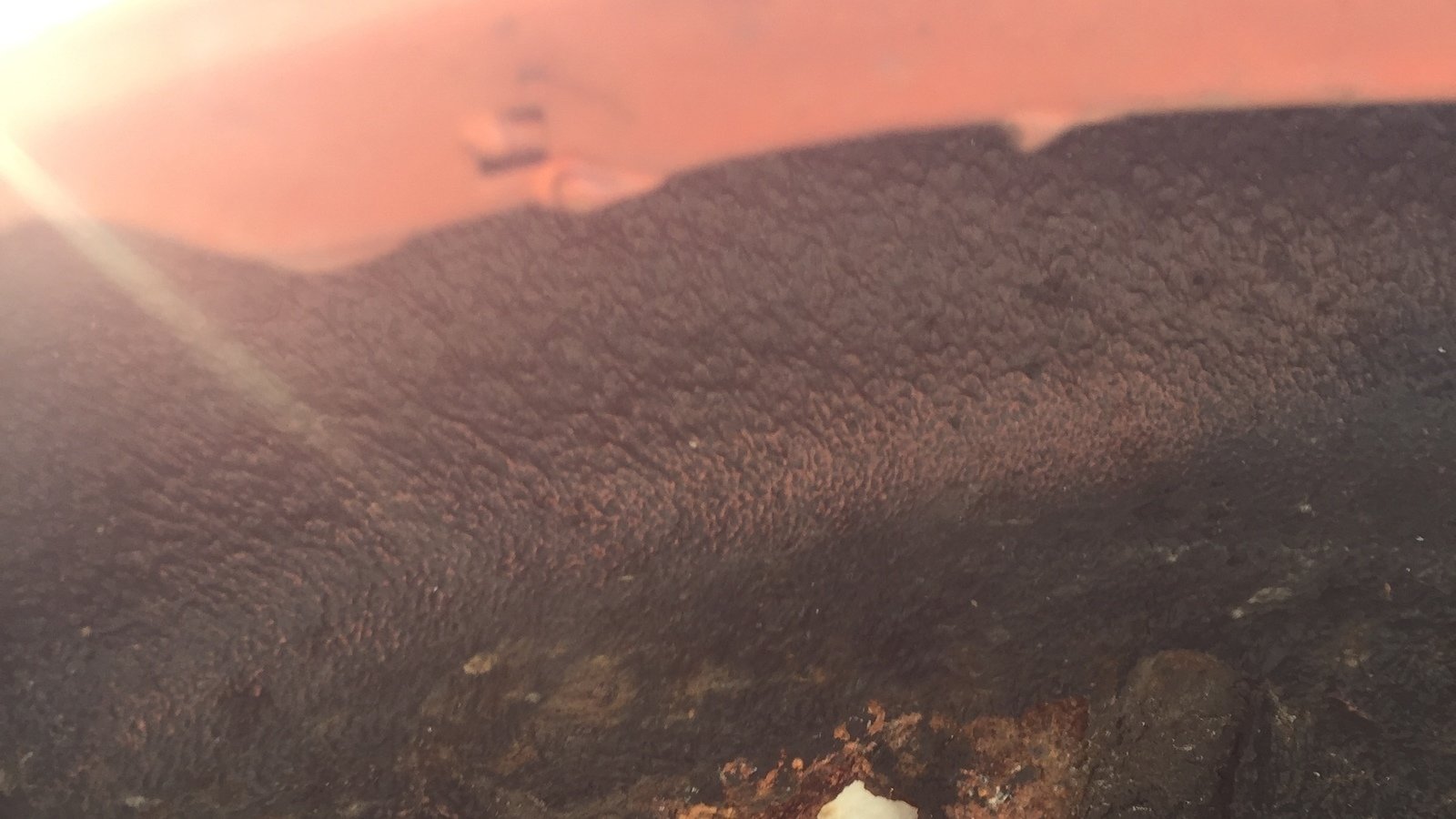 Petition · Ford: Recall the Escape for Rust Problems-It's a Safety ...