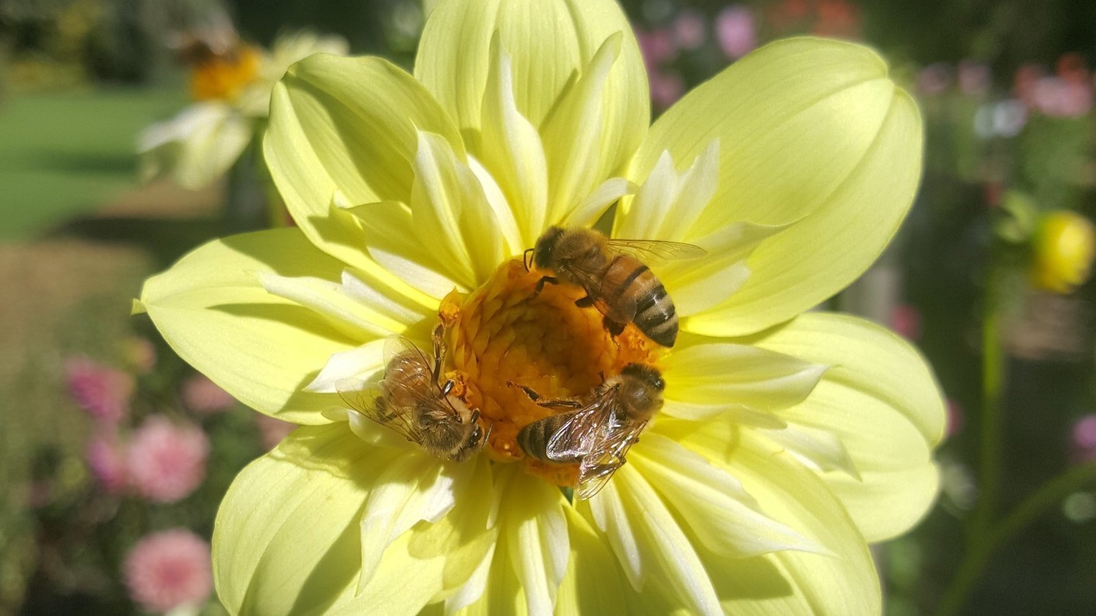 Petition · STOP HOT PLASTIC "greening" our streets and say "No" to ...