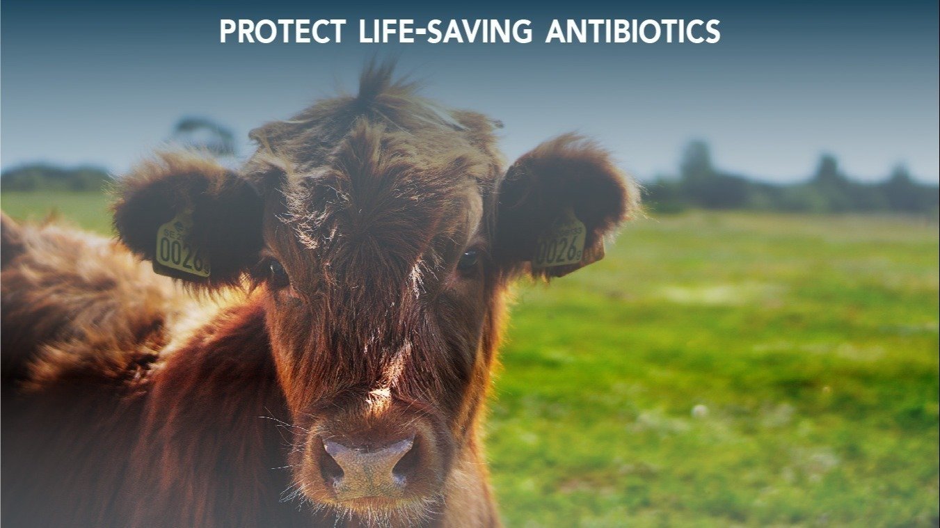 Petition · Less Meat, Better Meat - United States · Change.org