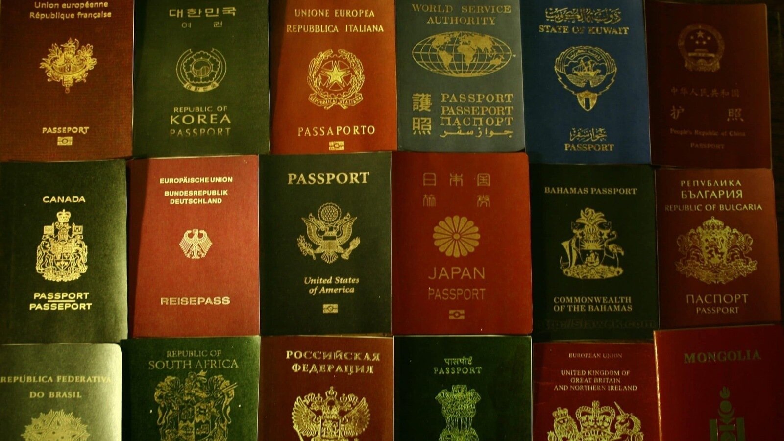 Petition · Restrict dual citizens from high government office - United ...