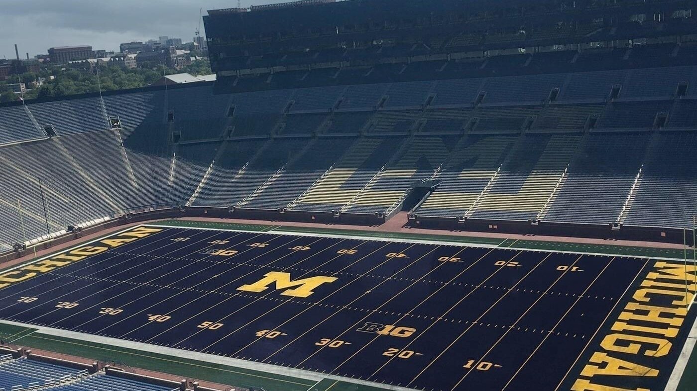 Petition · Transform Michigan Stadium's Field to Blue with Yellow Lines ...