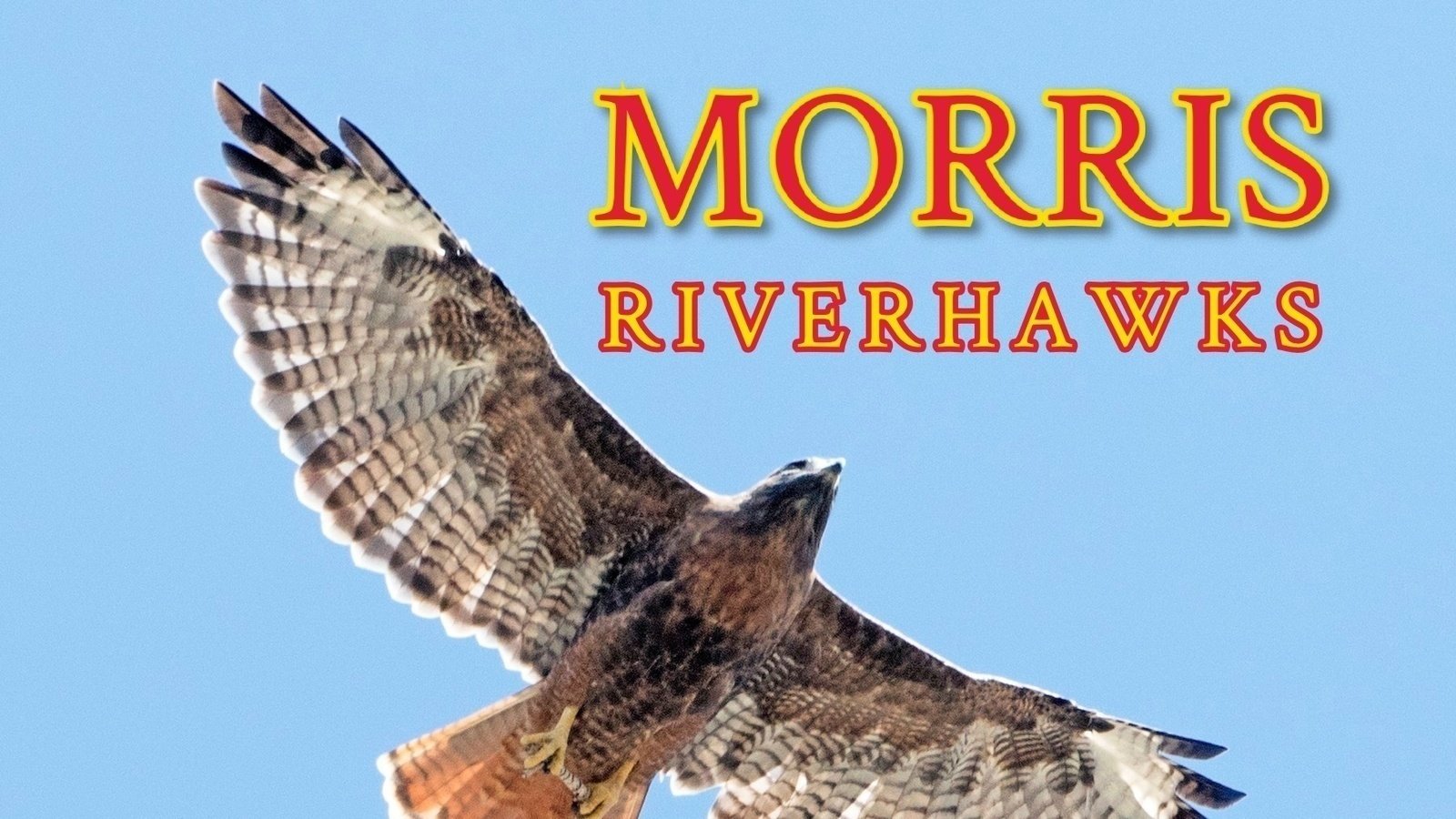 Petition · Change the name of the Morris High School mascot from ...