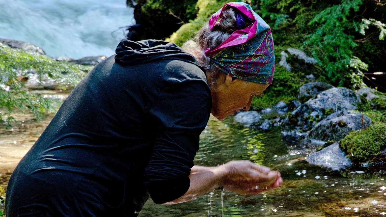 Petition · To recognize water users as key stakeholders in renewal of ...