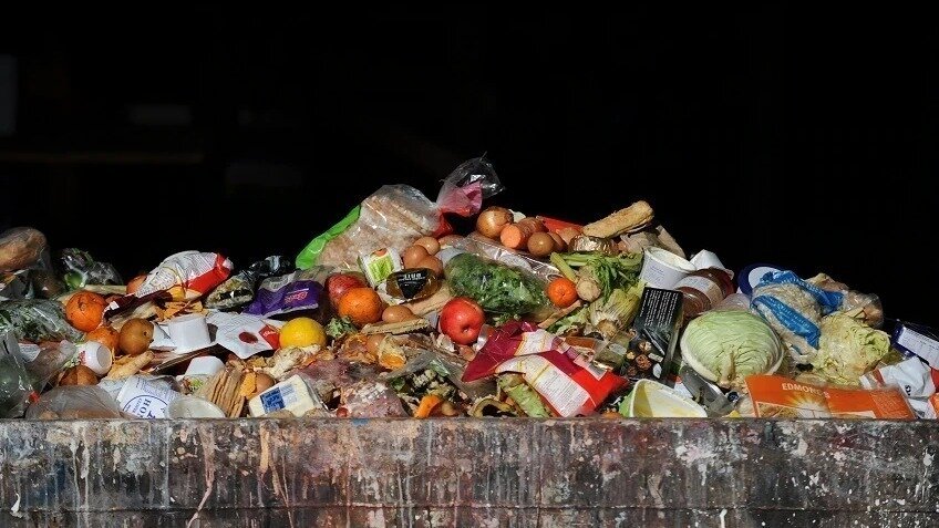 Petition · Unnecessary food waste - London, Canada · Change.org
