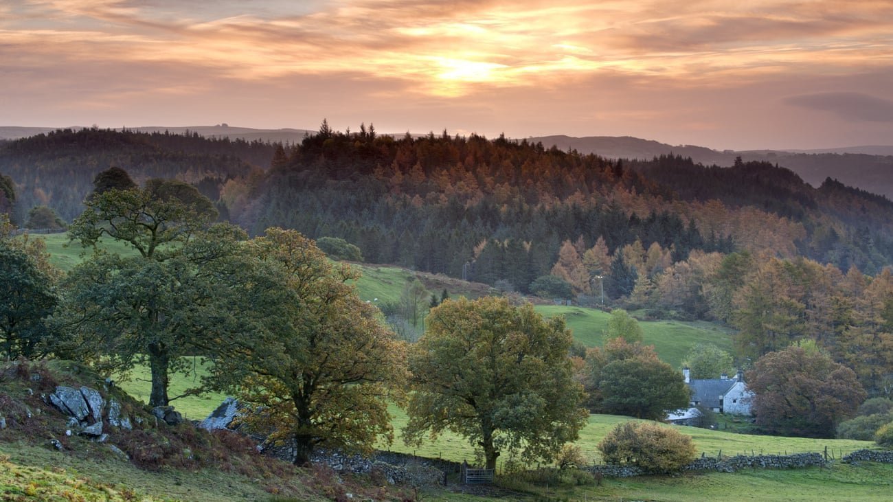 Petition · Letter to Powys County Council to 'Declare a Climate and ...