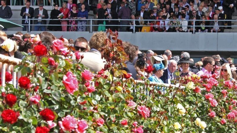 Petition · NZTR: Shifting the two Guineas Group One races north will ...