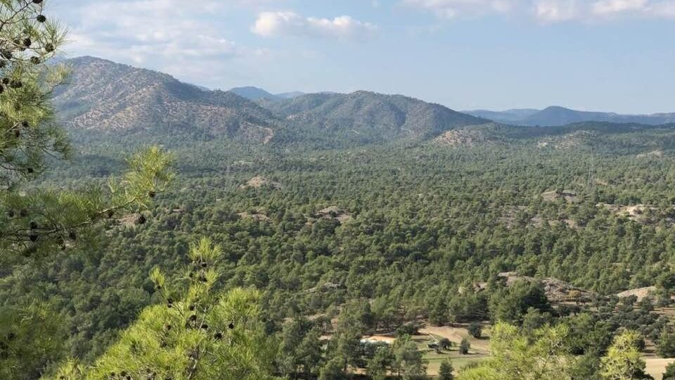Petition · Save the Delikipos Forest from becoming a quarry - Cyprus ...
