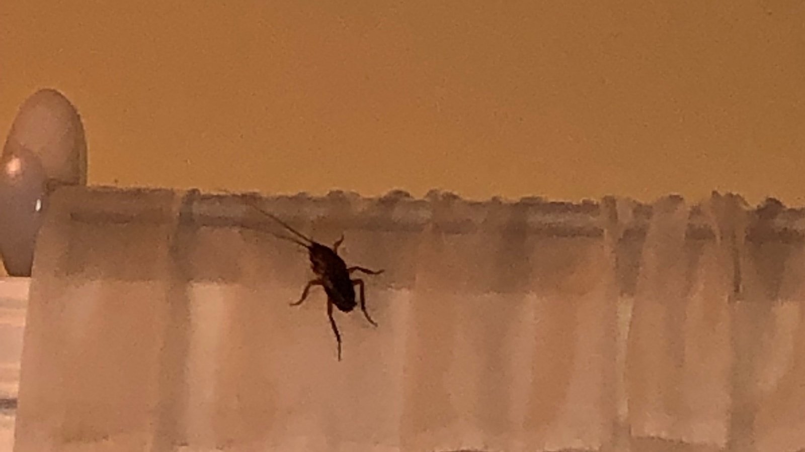 Petition · Help Students Who Are Suffering in Unhabitable Conditions ...