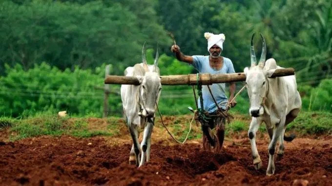Petition · Save farmers - India · Change.org