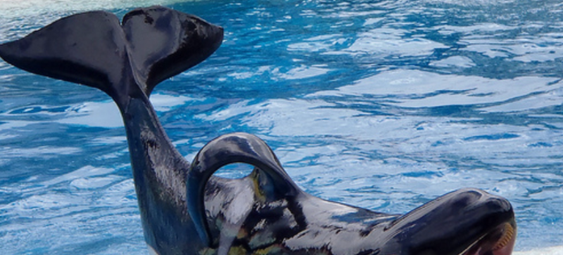 Petition · ITV Good Morning Britain : Protest GMTV'S news broadcast ...