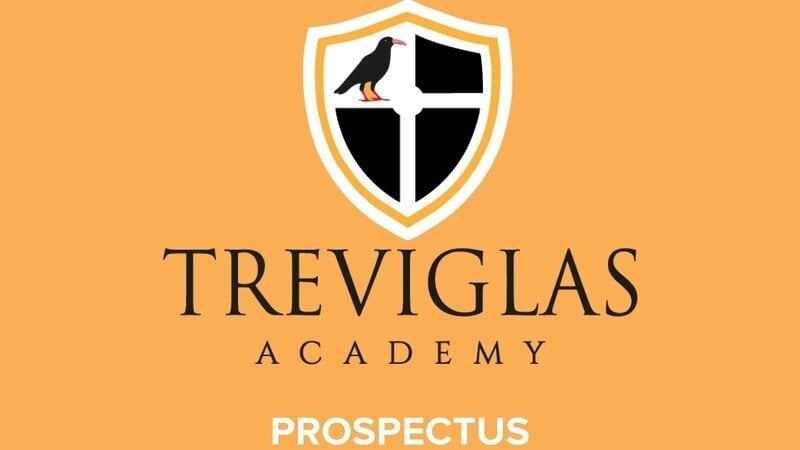 Treviglas Logo Boardmasters Foundation Applications Open