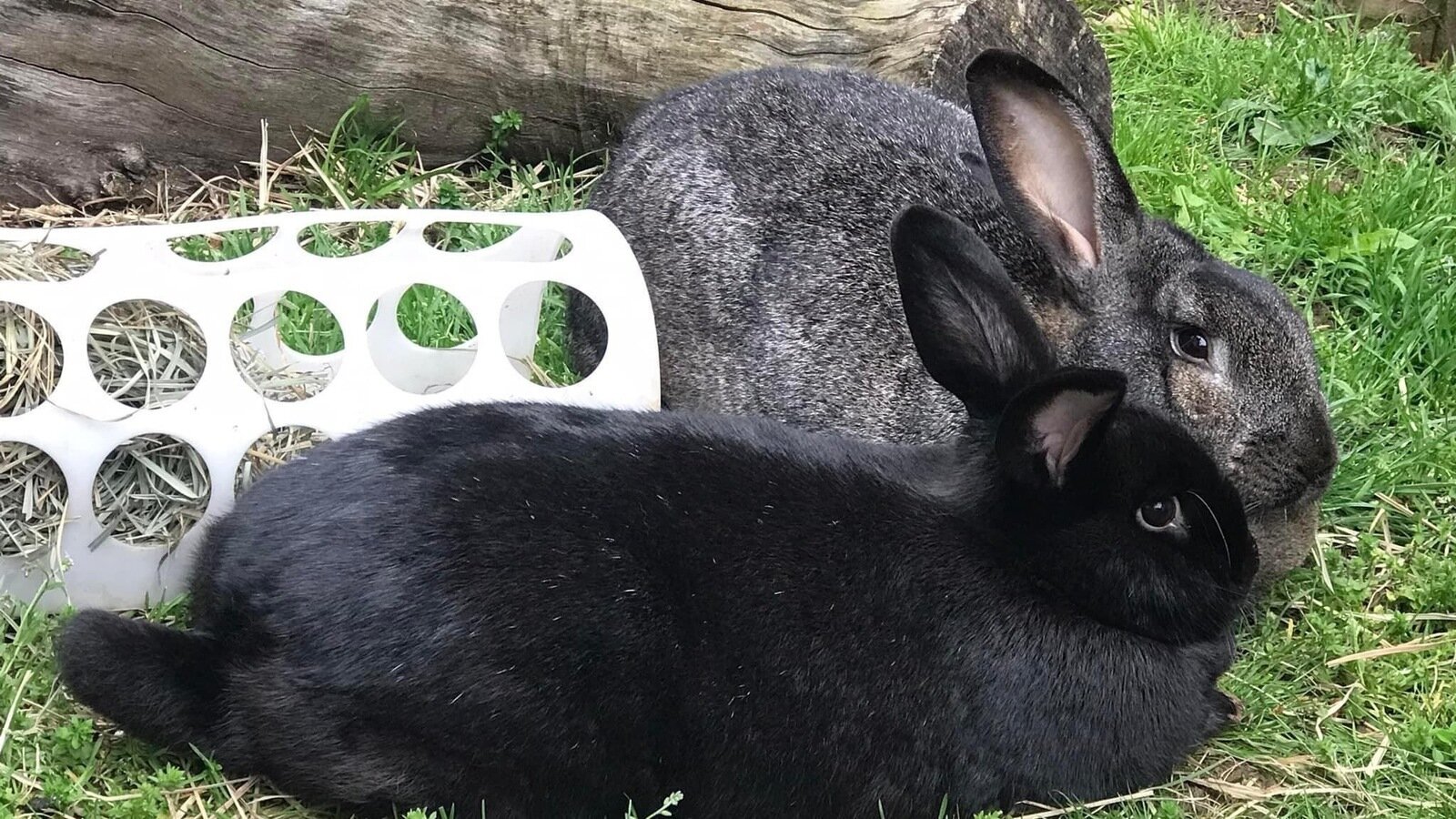 Petition update · 500 Signatures! · Change.org · Change.org