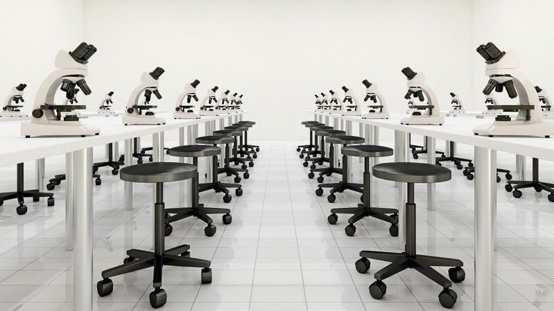 Petition Change The Physics Lab Report Format From Solo To Group Petition Change The Physics Lab Report Format From Solo To Group