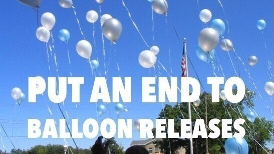 Petition Put A Stop To Balloon Releases Change Petition Put A Stop To Balloon Releases Change