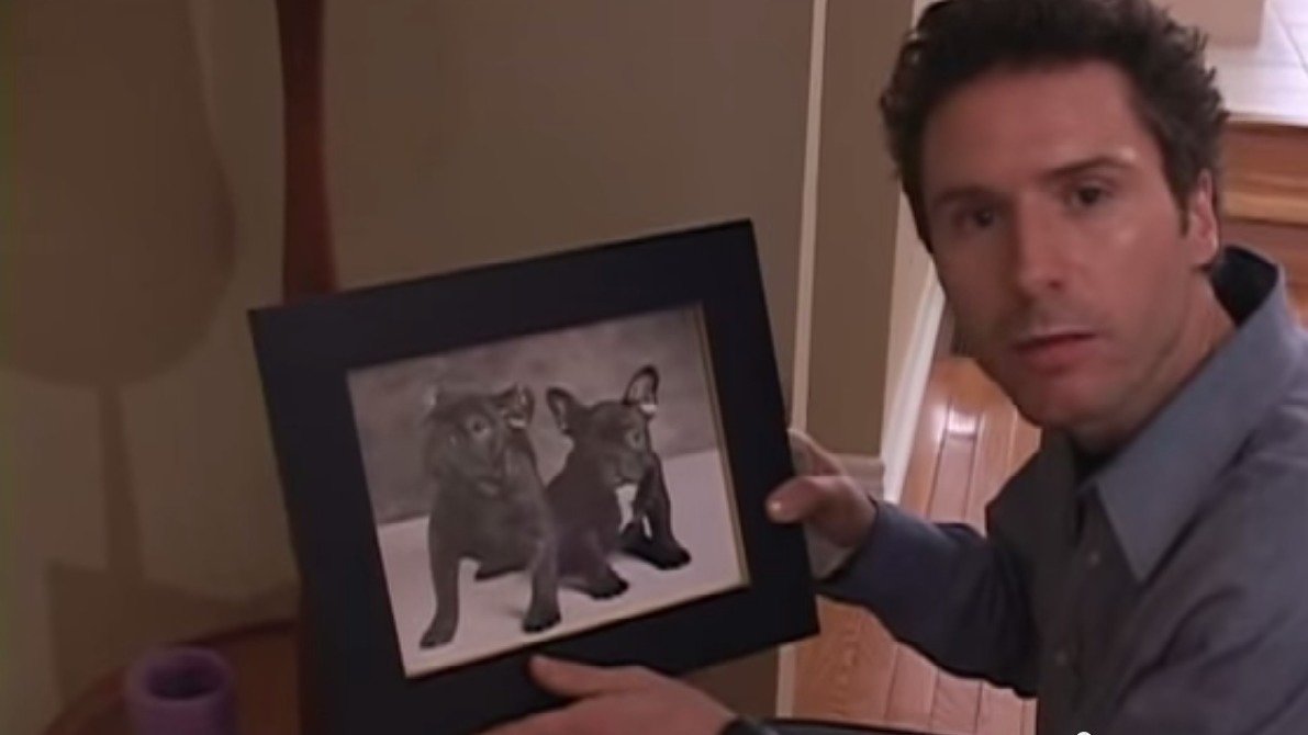 Petition · Pay David Wolfish $10,000 - Australia · Change.org