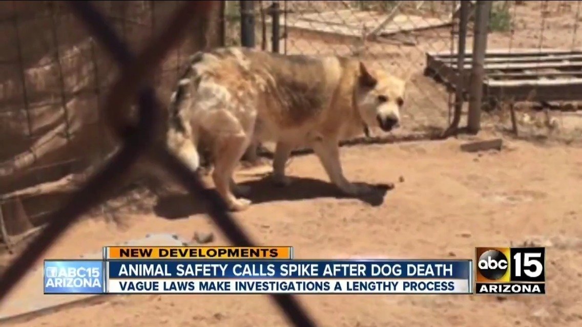 Petition Stronger Definition For cruel Neglect In Maricopa County petition-stronger-definition-for-cruel-neglect-in-maricopa-county