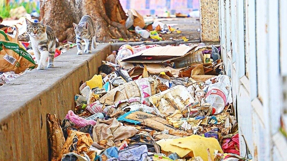 Petition · Petition to Address the State of Windhoek's CBD - Namibia ...